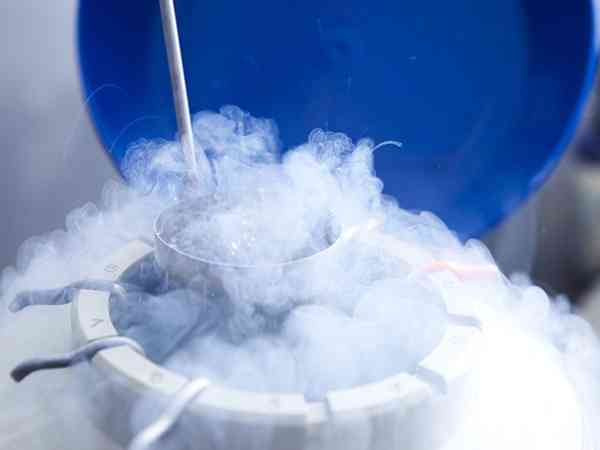 试管婴儿2pb与2pn的含义解读，均提示卵子正常受精您得知道 - 柚喜学园